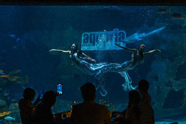 Vote for Su Va Na « World's Best Underwater Restaurant 2025 « World ...