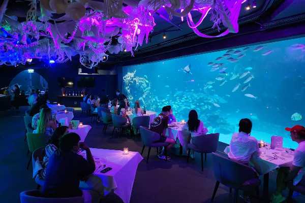 Vote for Su Va Na « World's Best Underwater Restaurant 2025 « World ...